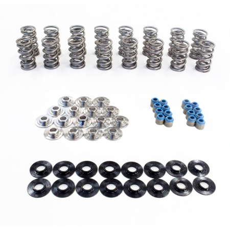 LS .750" PAC 1209X Valve Spring Kit With Titanium Retainers – NK ...